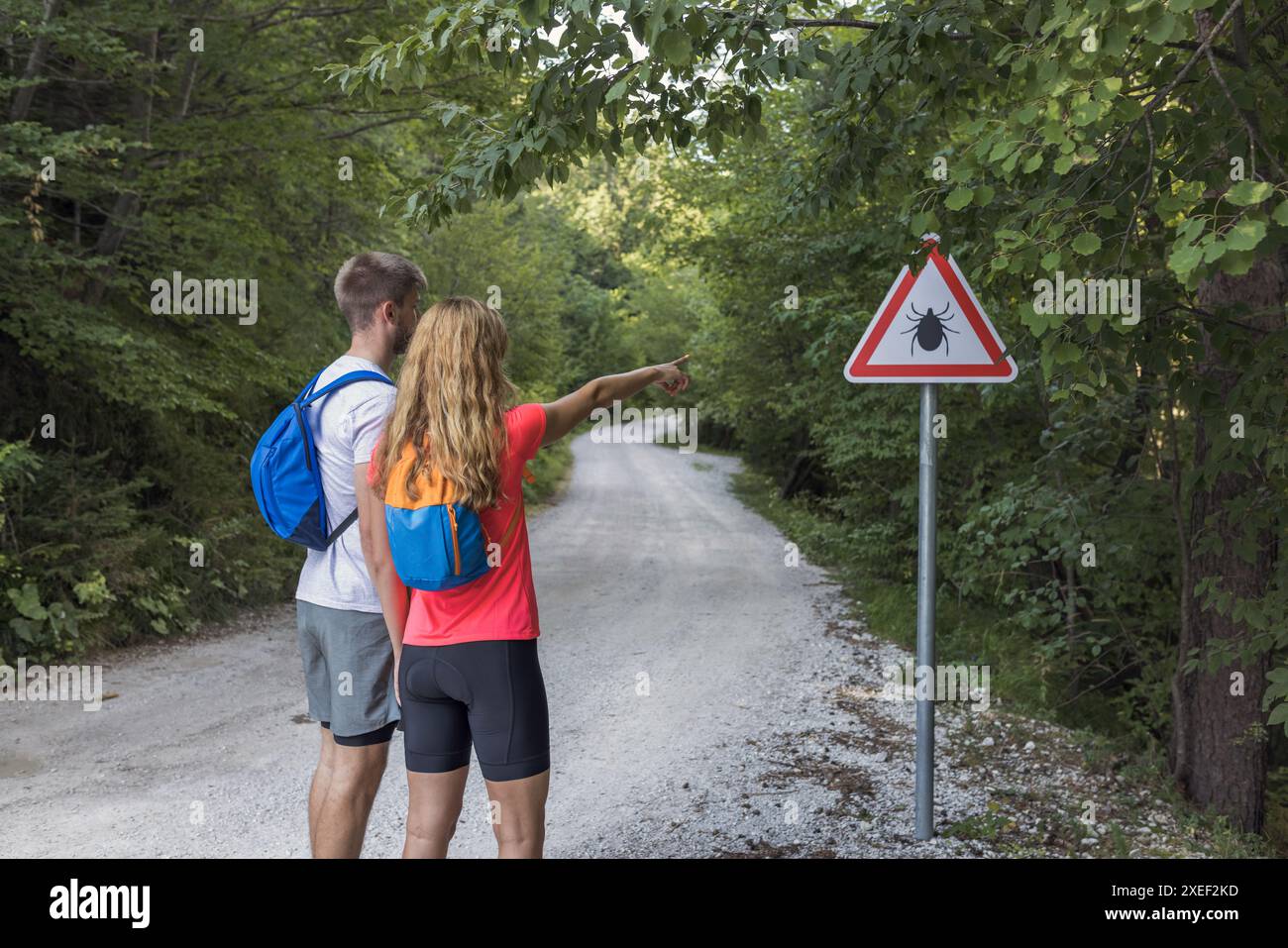 Man and woman pointing fingers in the distance while hiking near the ...