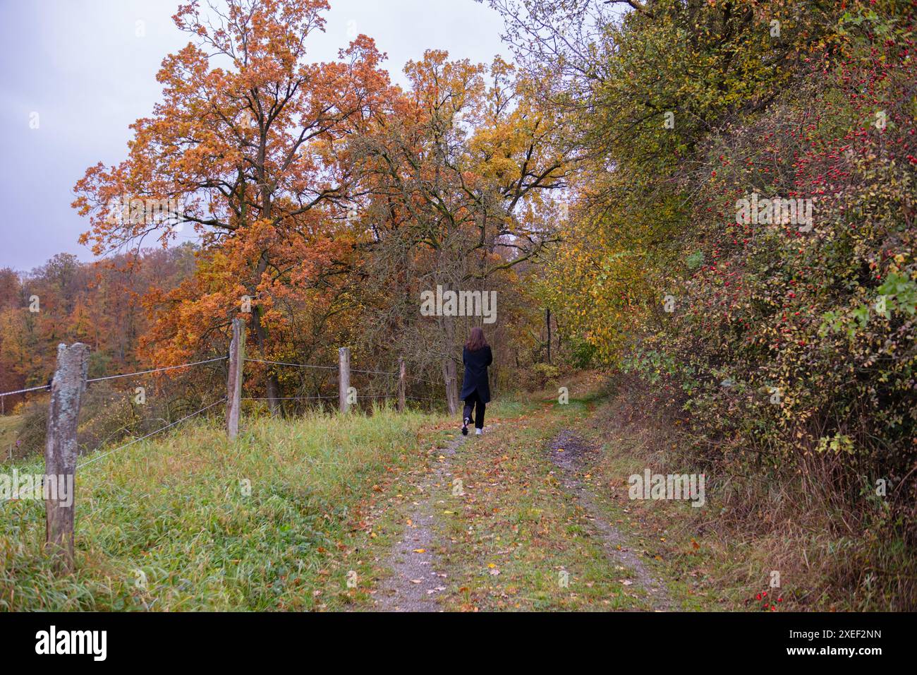 Natural panorama fence pathway hi-res stock photography and images - Alamy