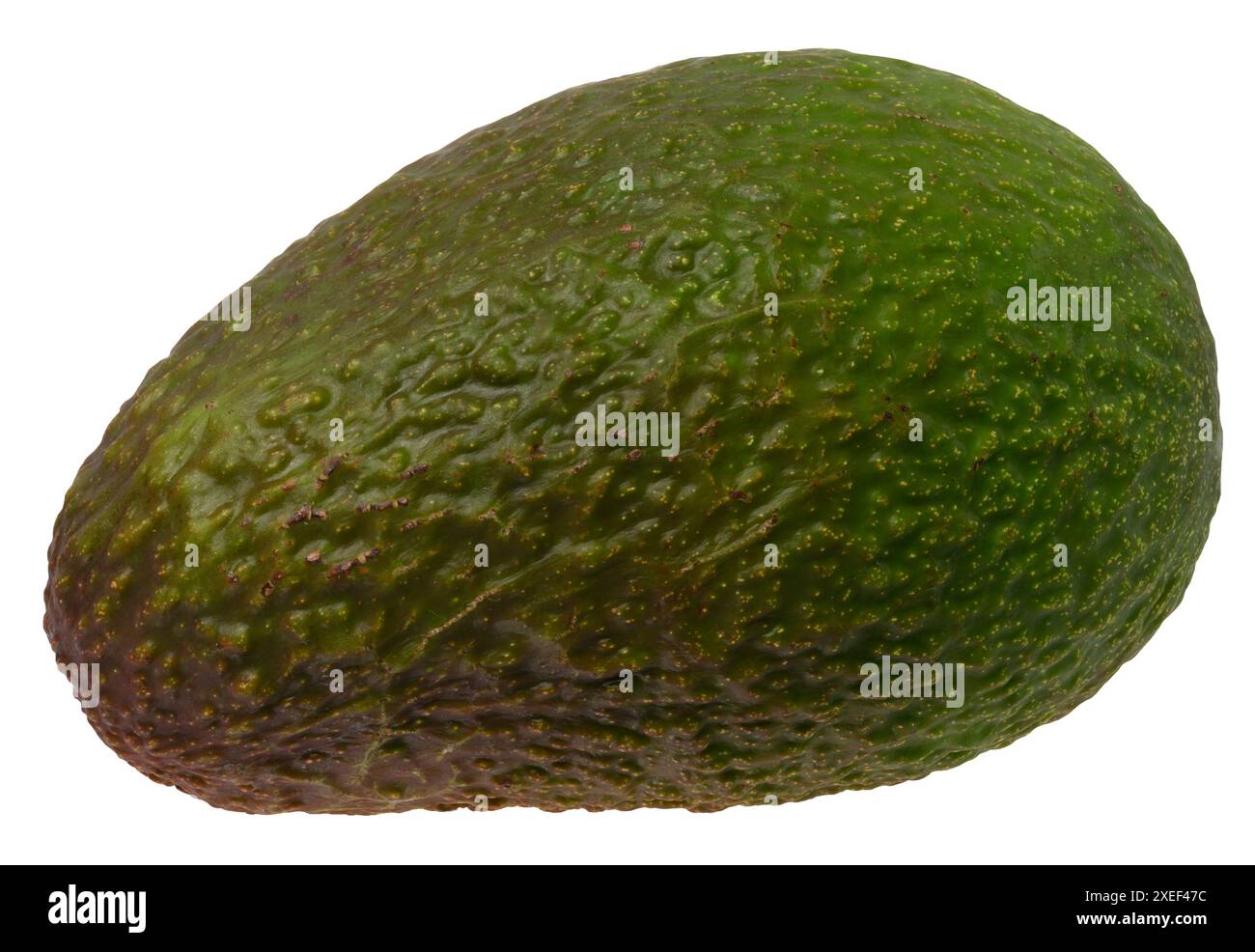 Whole green avocado fruit isolated on white background, tasty and ...