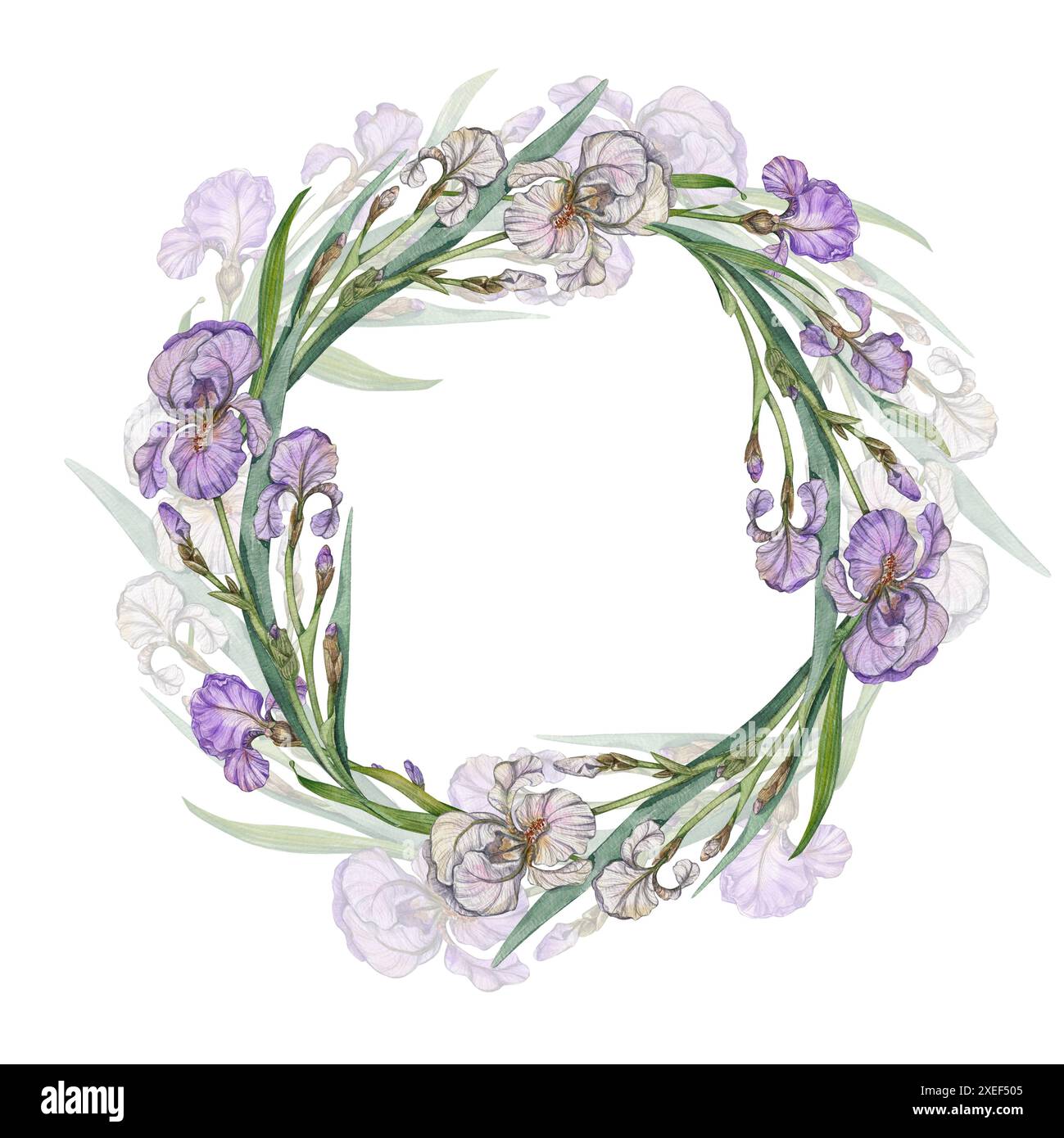 Purple Flowers Watercolor Examples