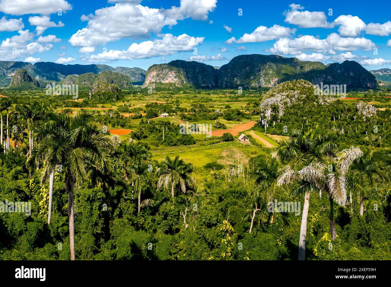 Lush Pinar del Rio region, foremost agricultural haven for Cuban ...