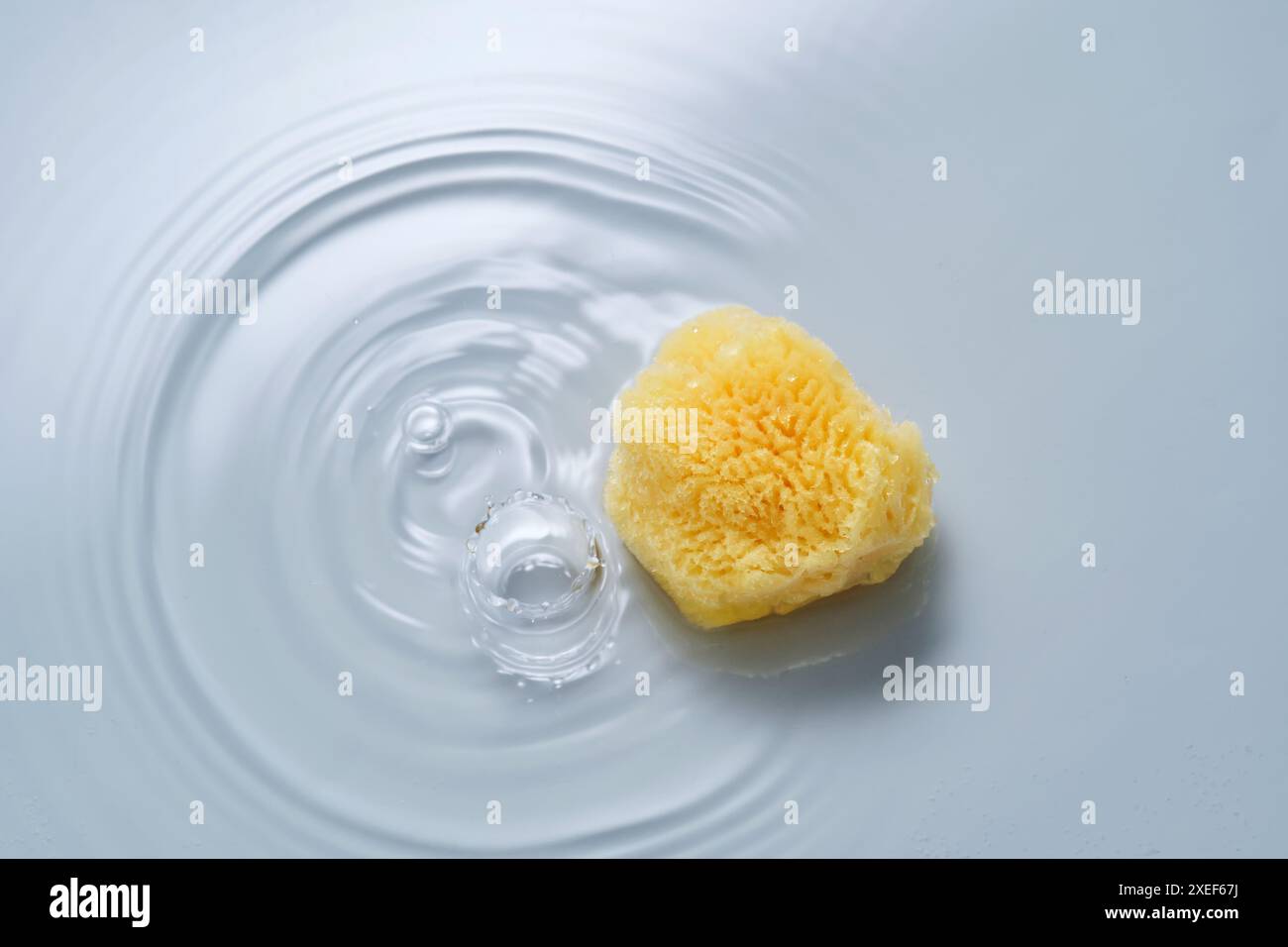 Sponge water hi-res stock photography and images - Alamy
