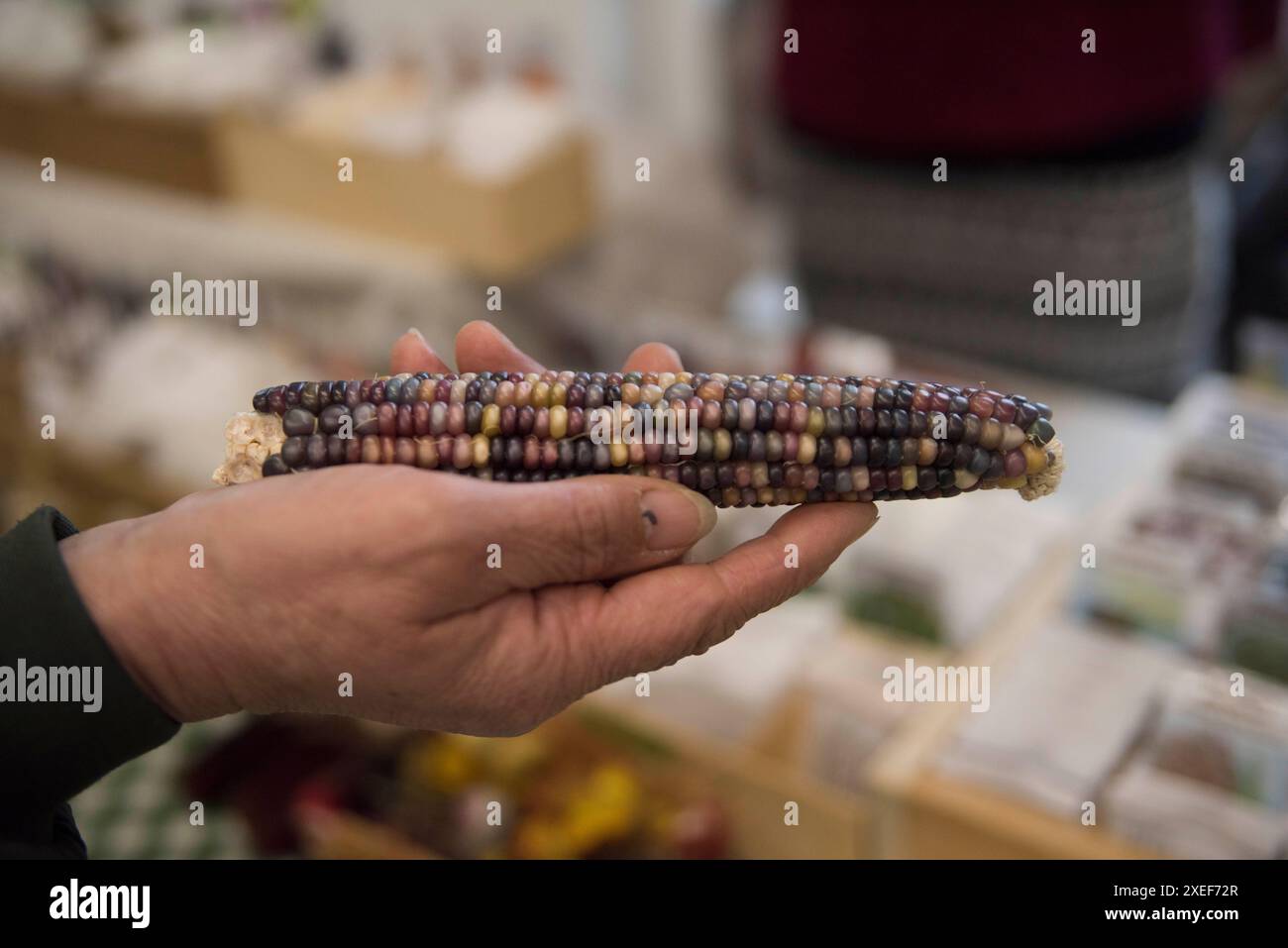 Covering plants hi-res stock photography and images - Alamy