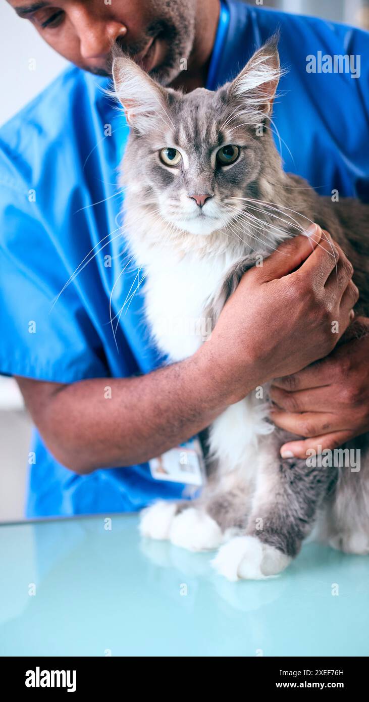 Mature male vet pet hi-res stock photography and images - Alamy
