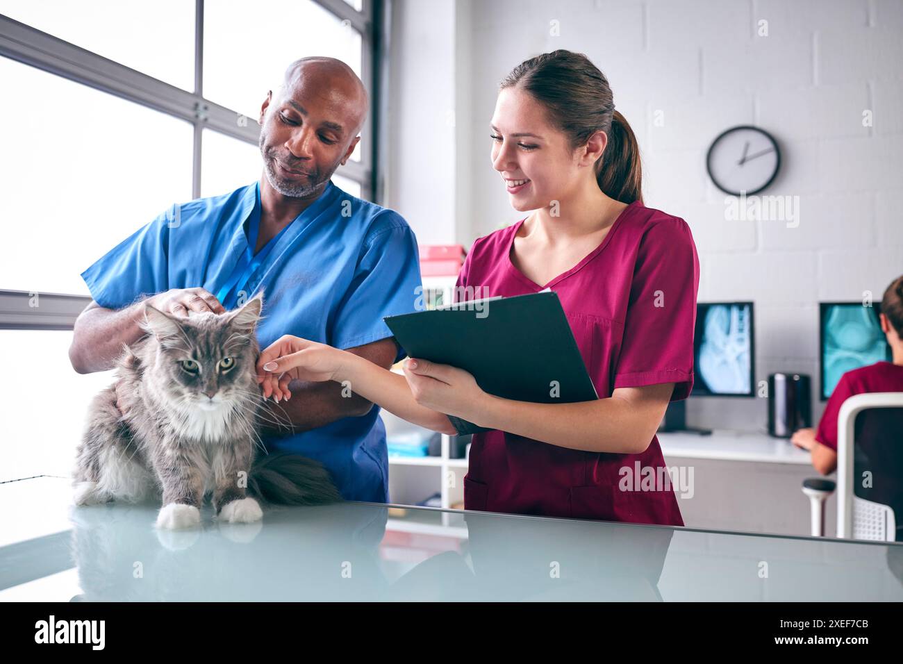 Black cat nurse hi-res stock photography and images - Alamy