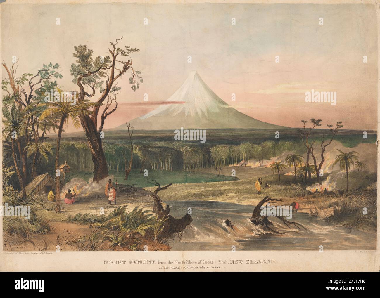 The north shore of cookes strait hi-res stock photography and images ...