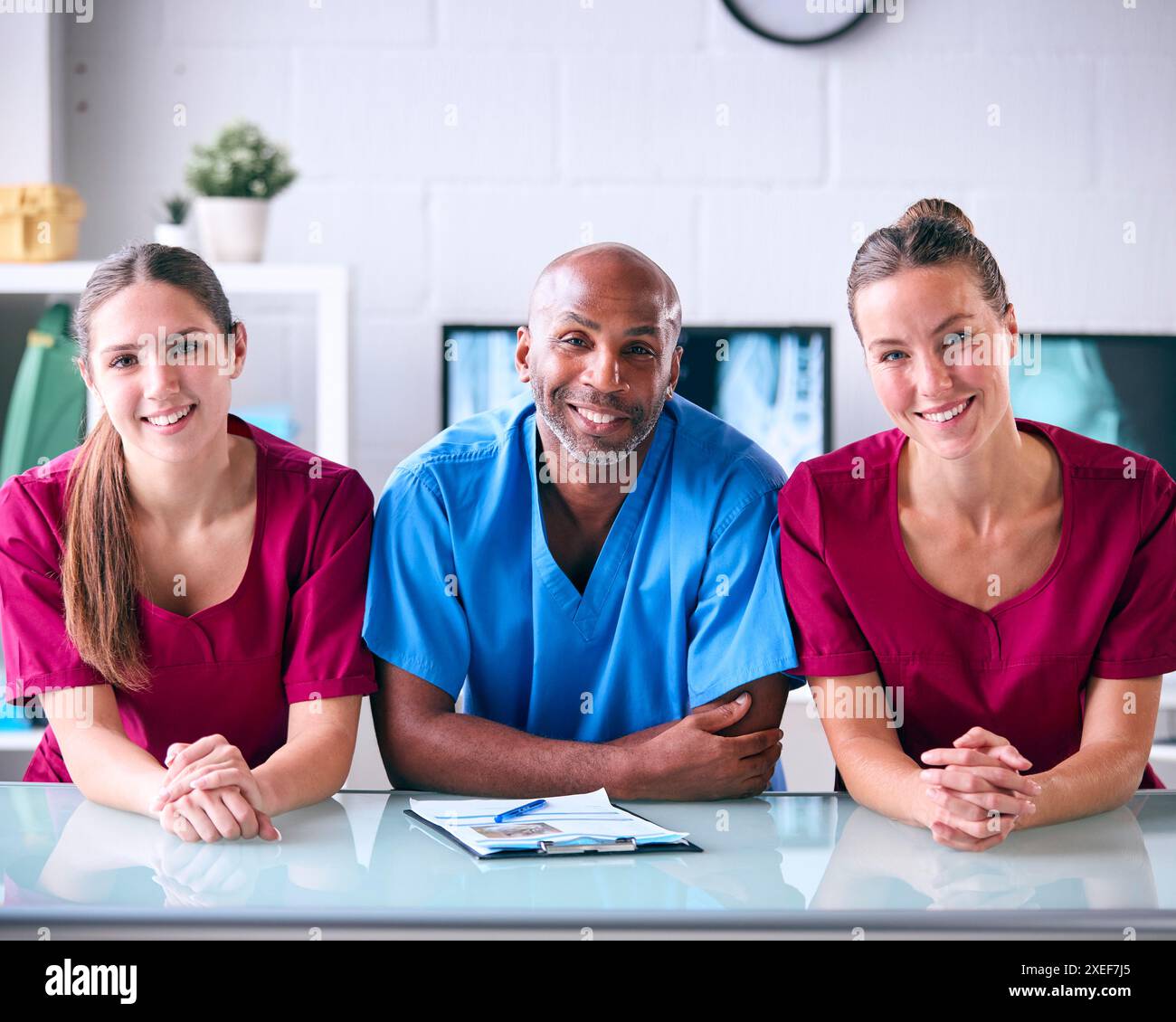 Skill veterinary hi-res stock photography and images - Alamy