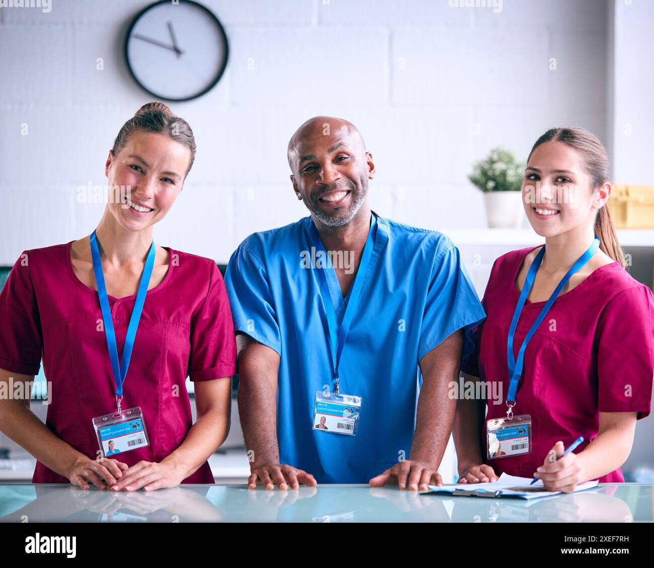 Portrait Of Male And Female Veterinary Team In Surgery Stock Photo - Alamy