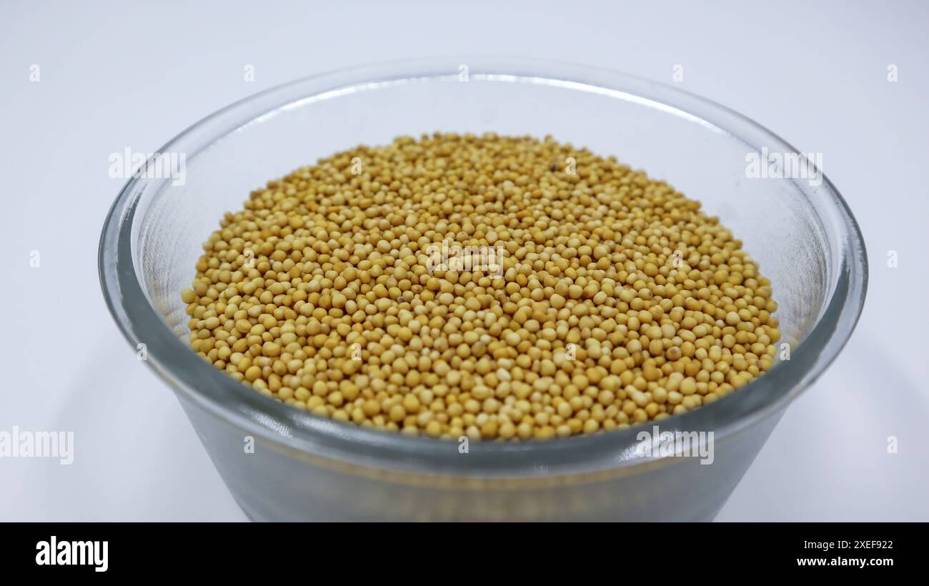 Yellow mustard seeds in transparent bowl on white background Stock ...