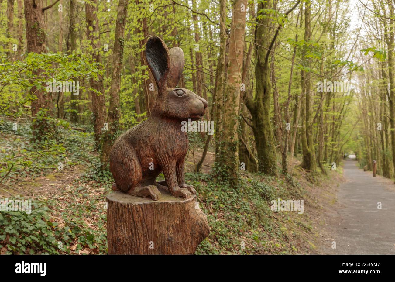 Rabbit carved out of a tree stump in the forest by the side of a path ...