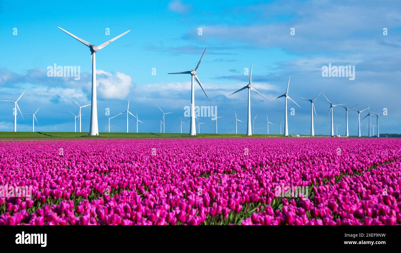 Tall wind turbine in vibrant hi-res stock photography and images - Alamy