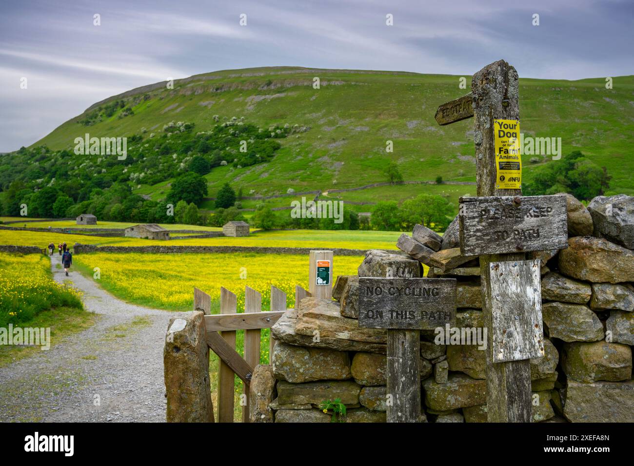 Picturesque Swaledale upland wildflower meadows (wooden signpost in ...
