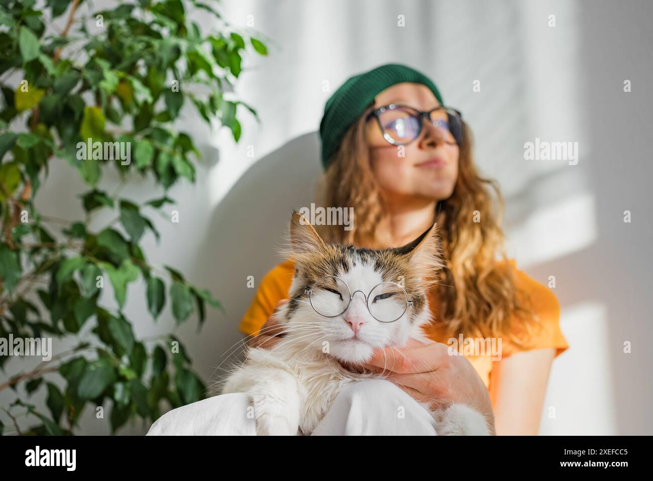 Woman in green beanie and glasses holds cat wearing glasses in sunlit ...