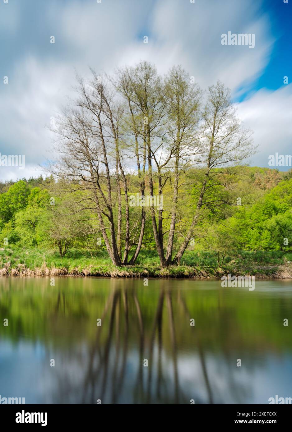 Trees meadows green river hi-res stock photography and images - Alamy