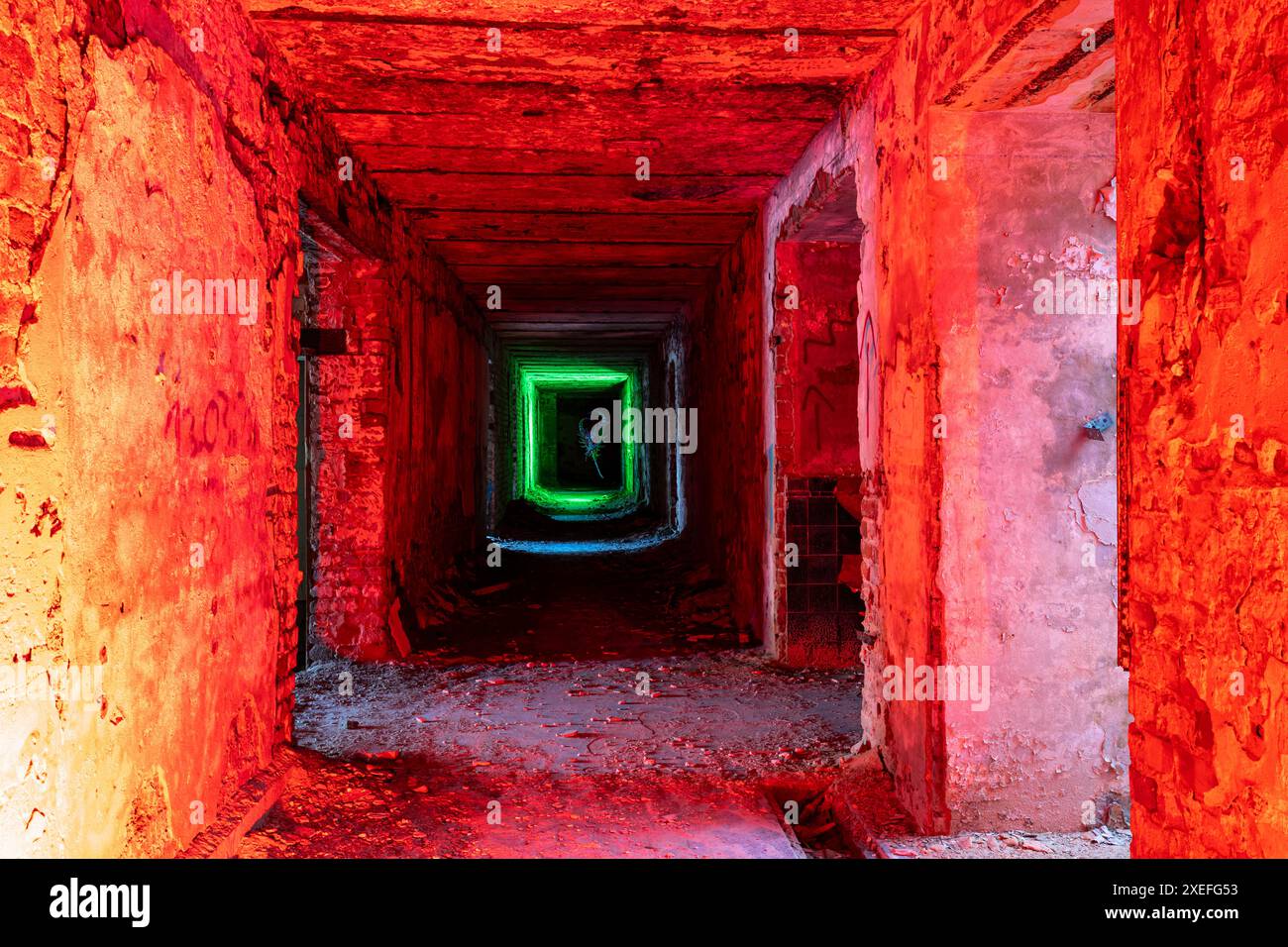 Long dark cellar corridor Stock Photo - Alamy