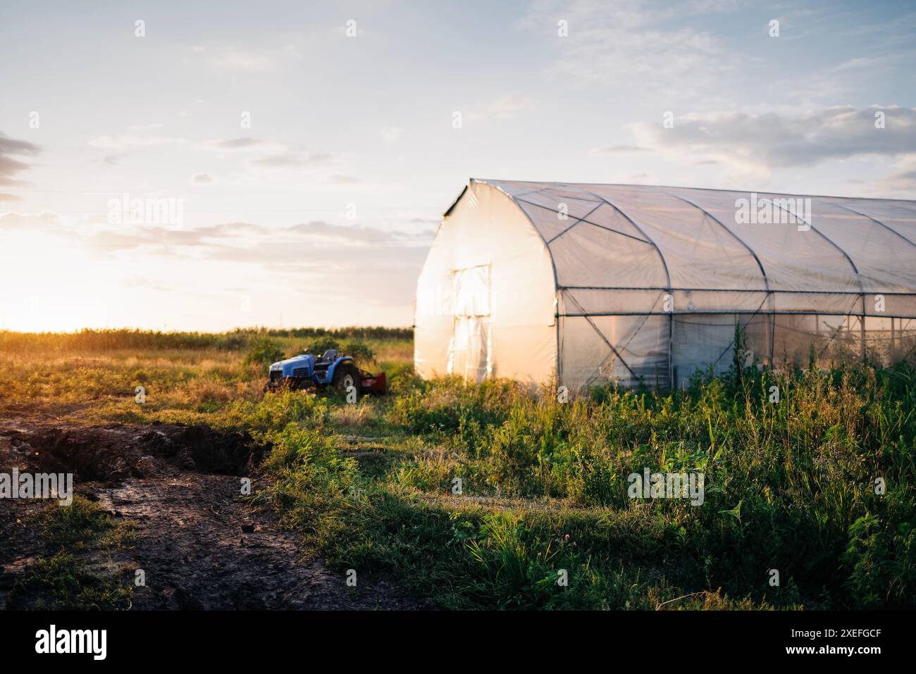 An agricultural landscape with a greenhouse used for growing vegetables ...