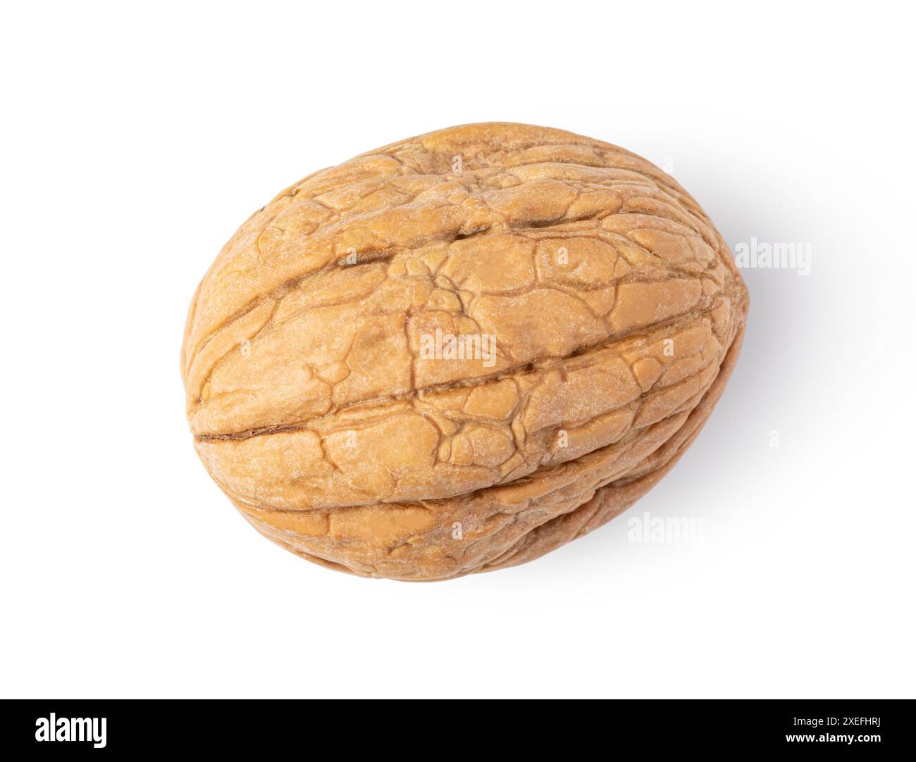 Top view natural walnut hi-res stock photography and images - Alamy