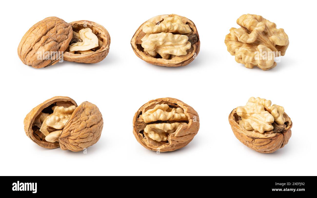Walnut nut kernel set hi-res stock photography and images - Alamy