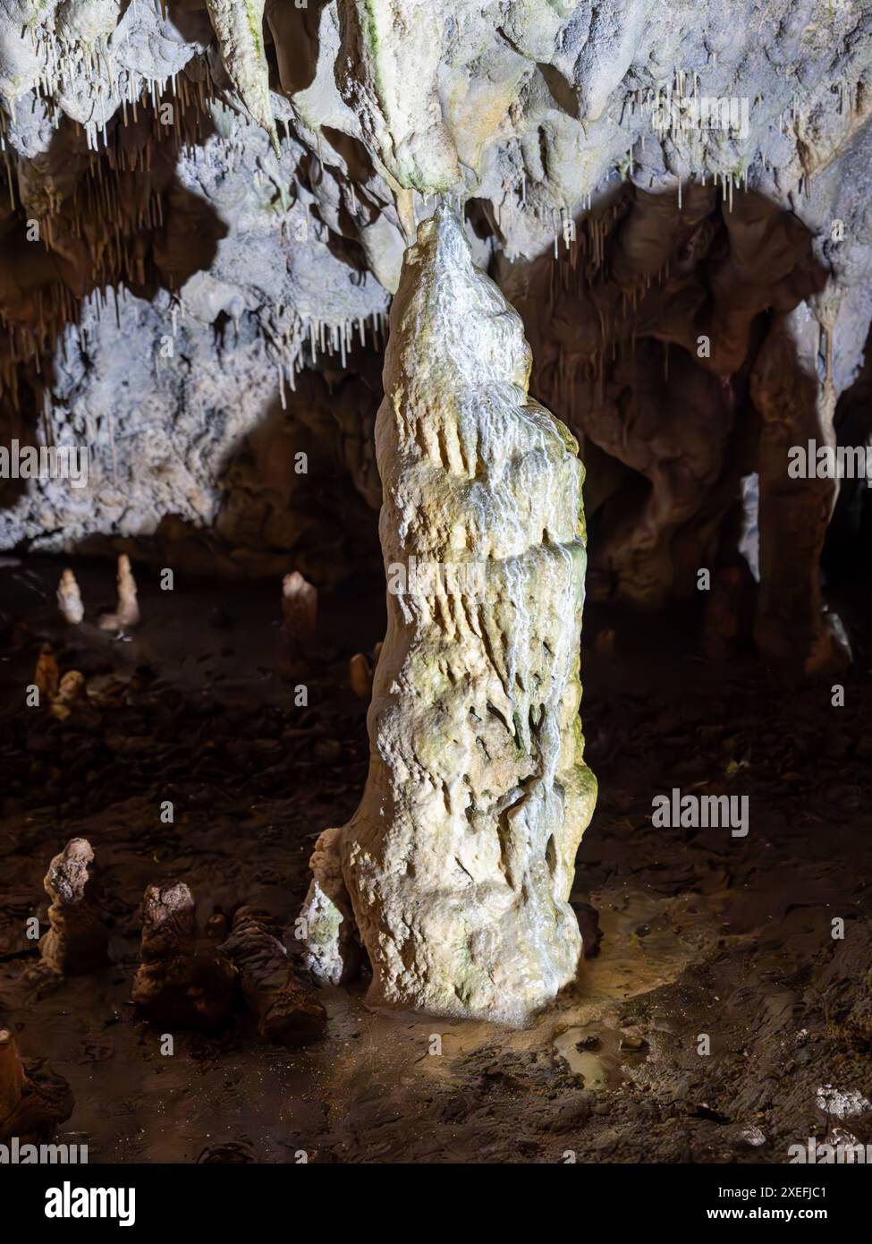 Large stalagmite illuminated by electric light growing on a cave floor ...