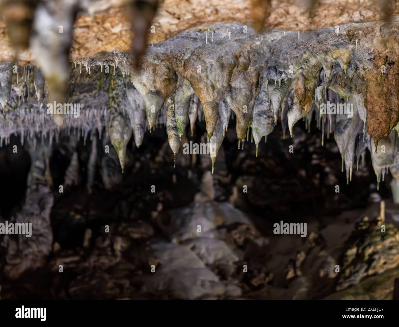Formations of stalactites dripping water in a dark cavern Stock Photo ...