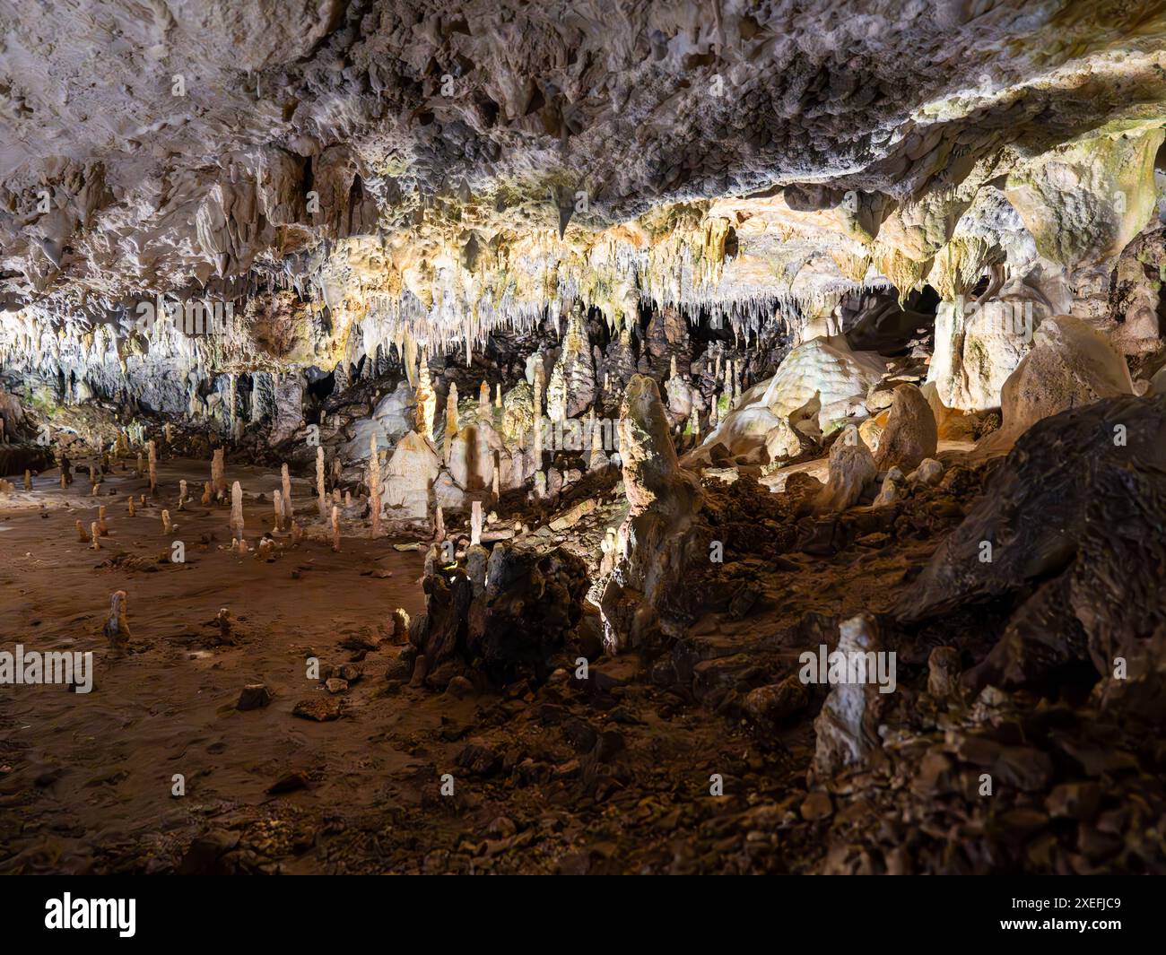 Stalagmites rising from the ground of an illuminated cave and ...