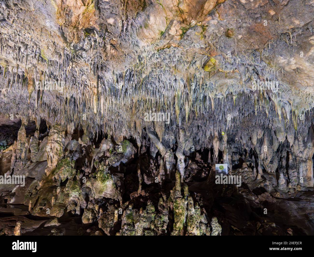 Stalactites hanging from cave ceiling, creating beautiful formations in ...