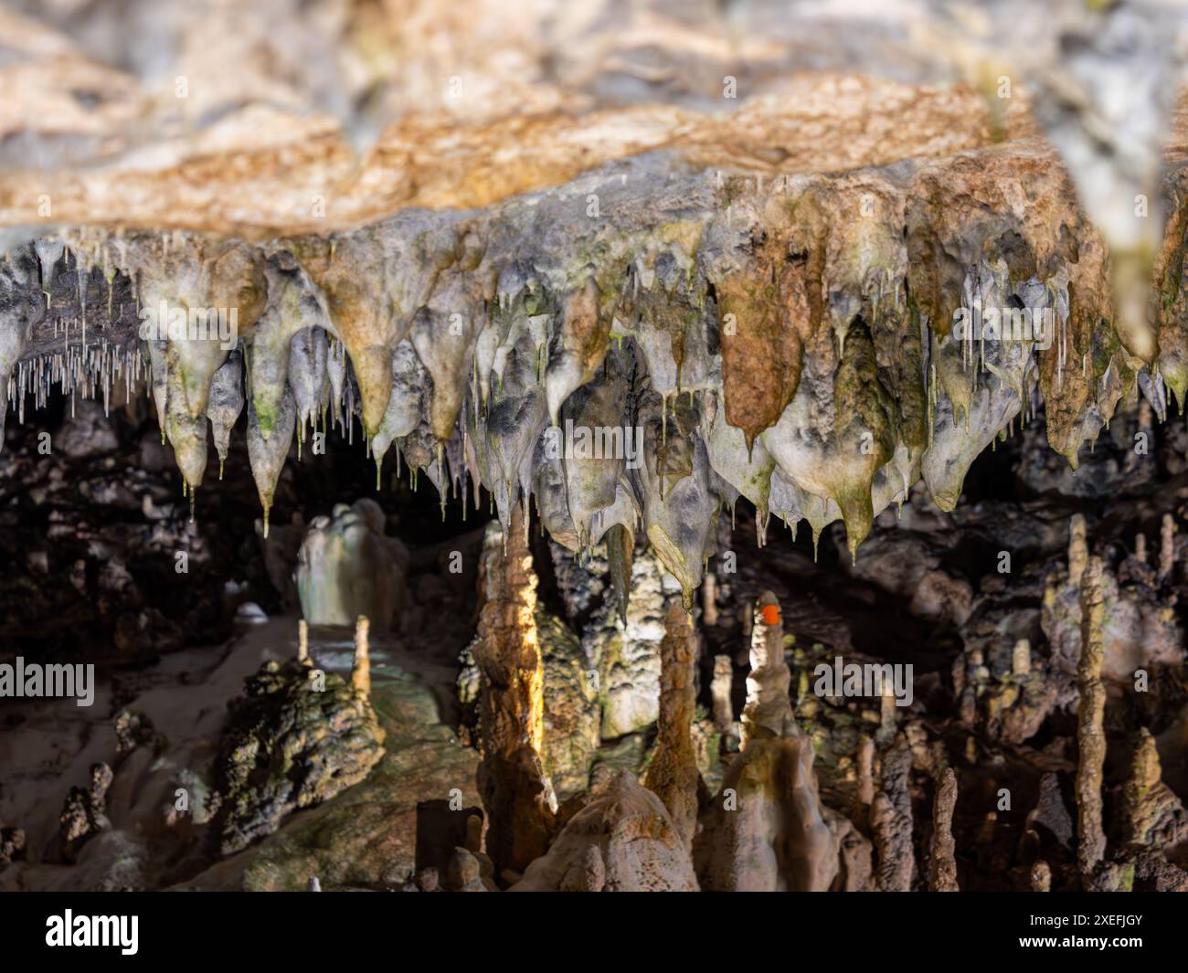 Stalactites dripping from the ceiling of a dark cave, illuminated by ...