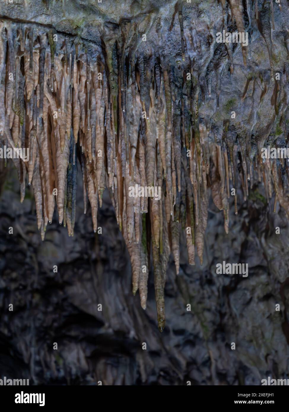 Cave ceiling texture hi-res stock photography and images - Alamy