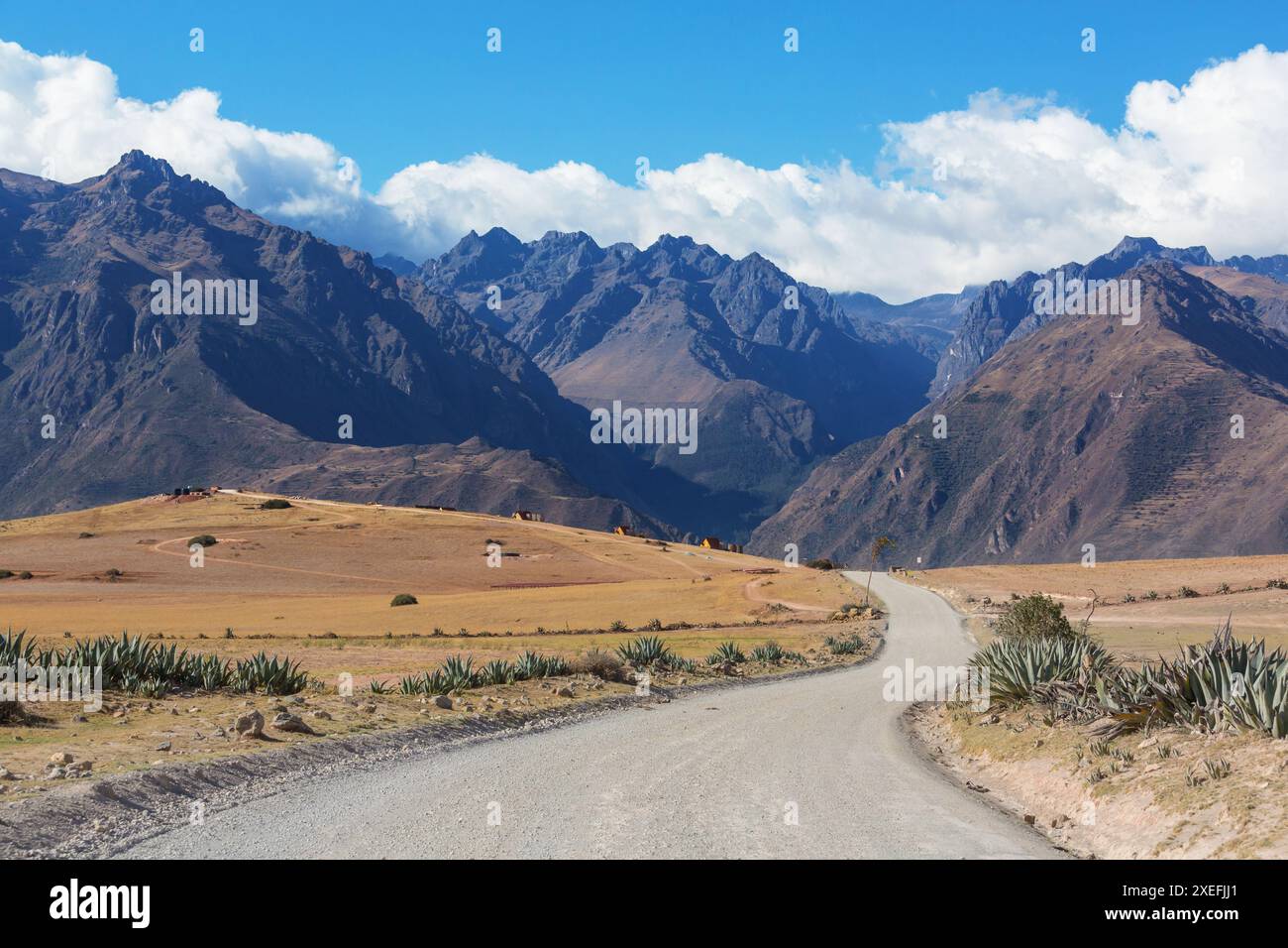 Fields in Peru Stock Photo - Alamy