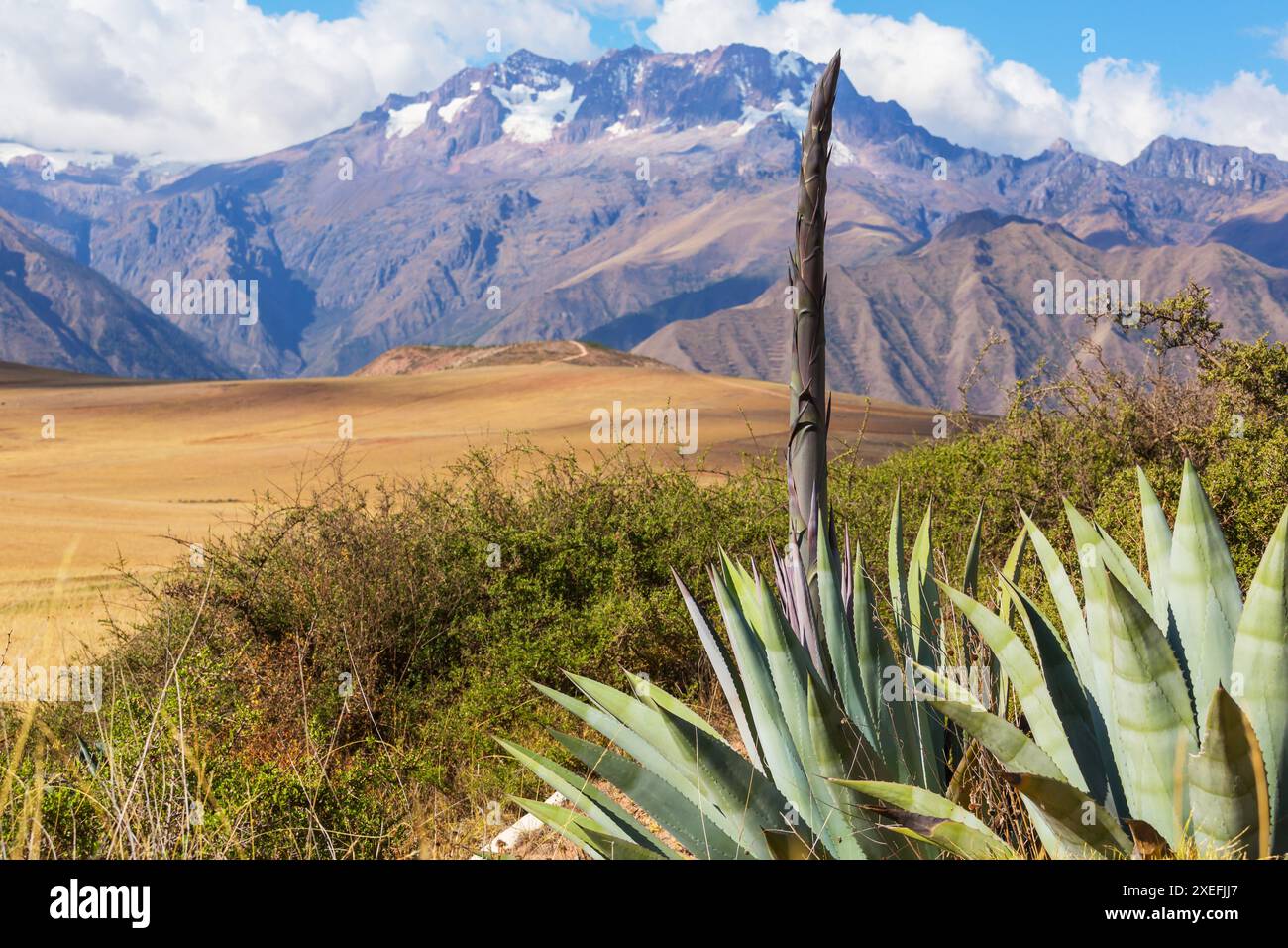 Fields in Peru Stock Photo - Alamy