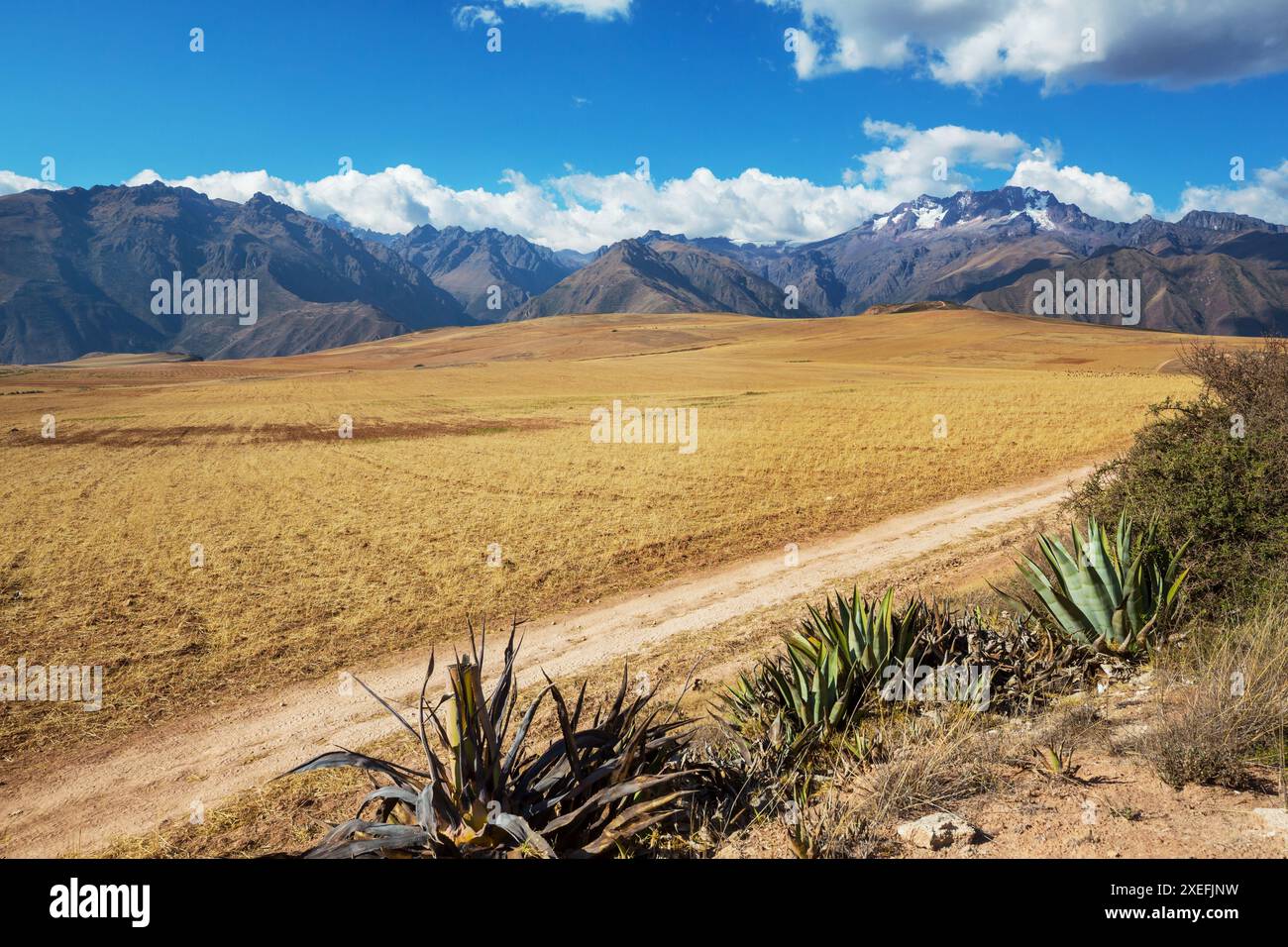 Fields in Peru Stock Photo - Alamy