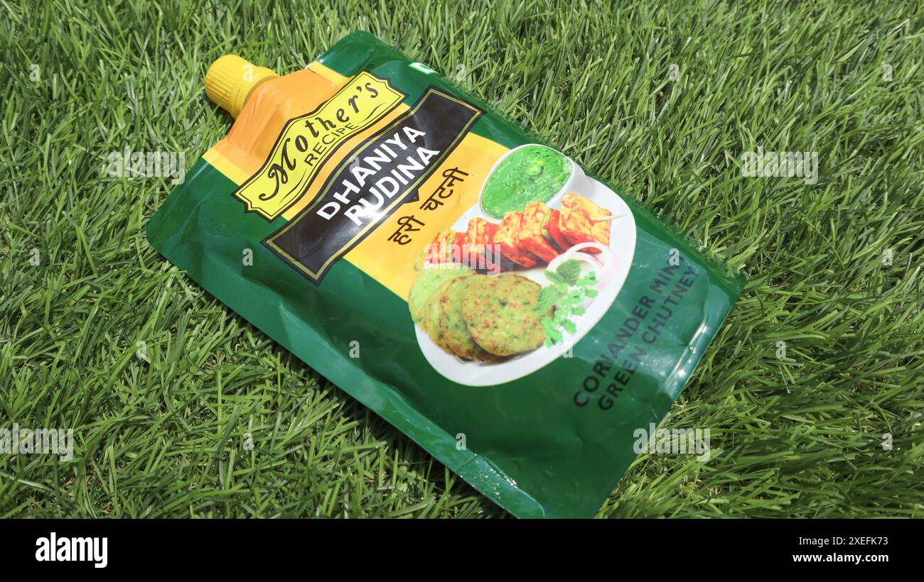 Dhaniya Pudina chutney, Mint and coriander dip packet by Mother's ...