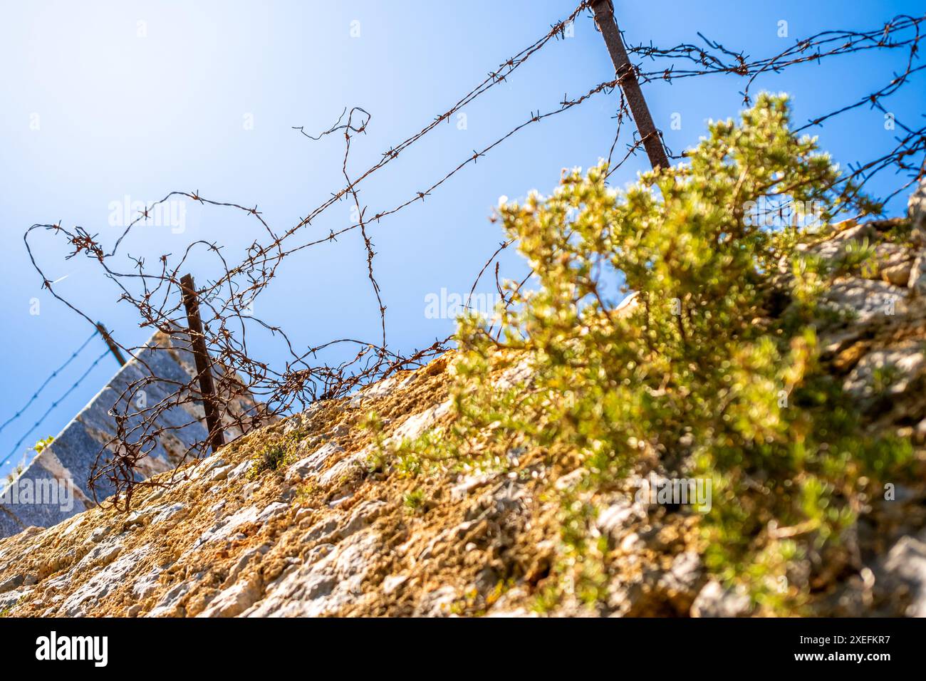 Low angle view of rusty, deteriorated barbed wire on a stone wall ...
