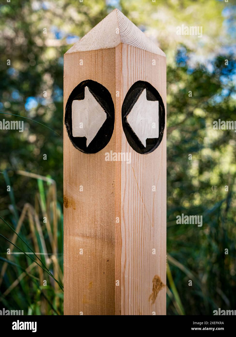 Portrait of a wooden signpost trail marker with two white arrows on ...