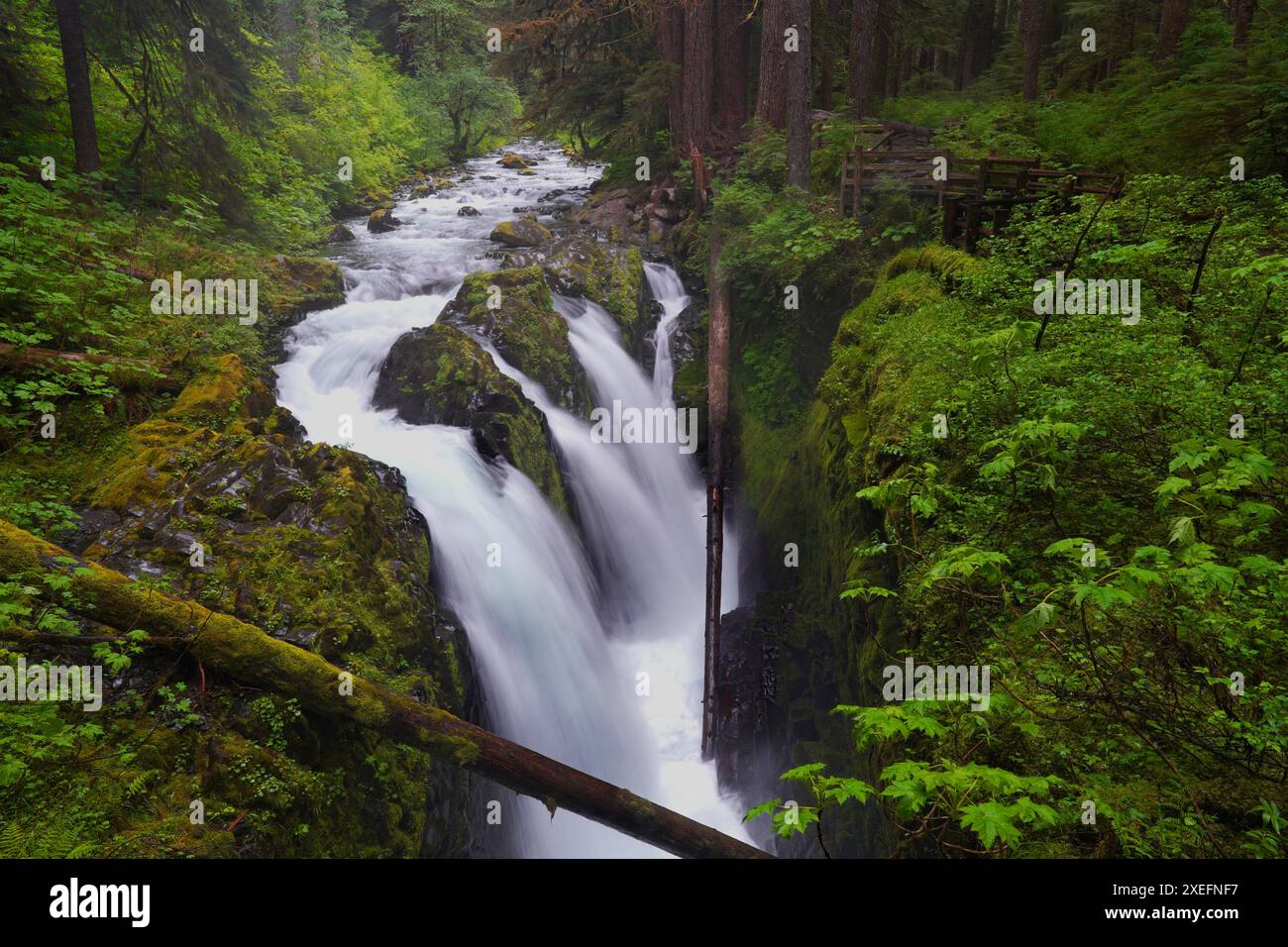 Sol Duc Falls in Olympic National Park in Washington Stock Photo - Alamy
