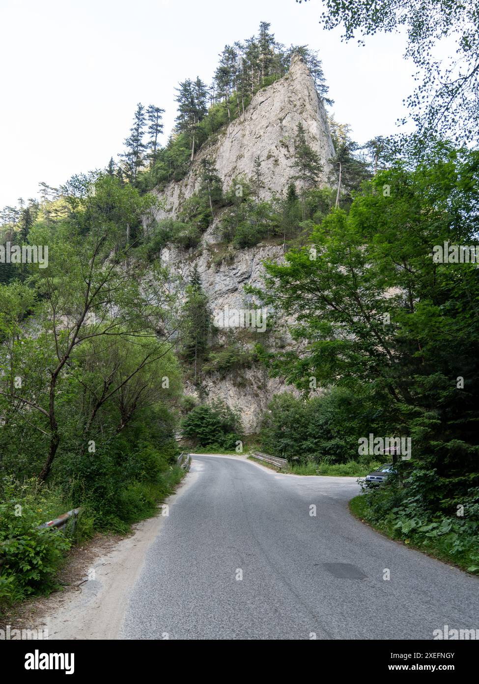 Narrow path leading dense hi-res stock photography and images - Alamy