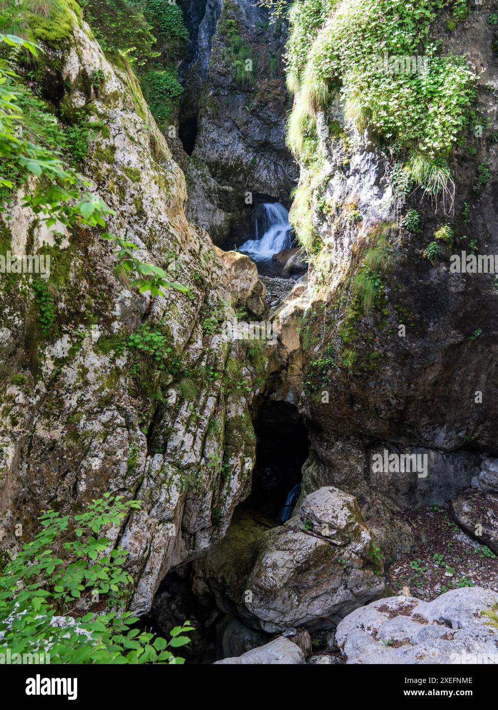 Small waterfall is flowing through a narrow gorge surrounded by moss ...