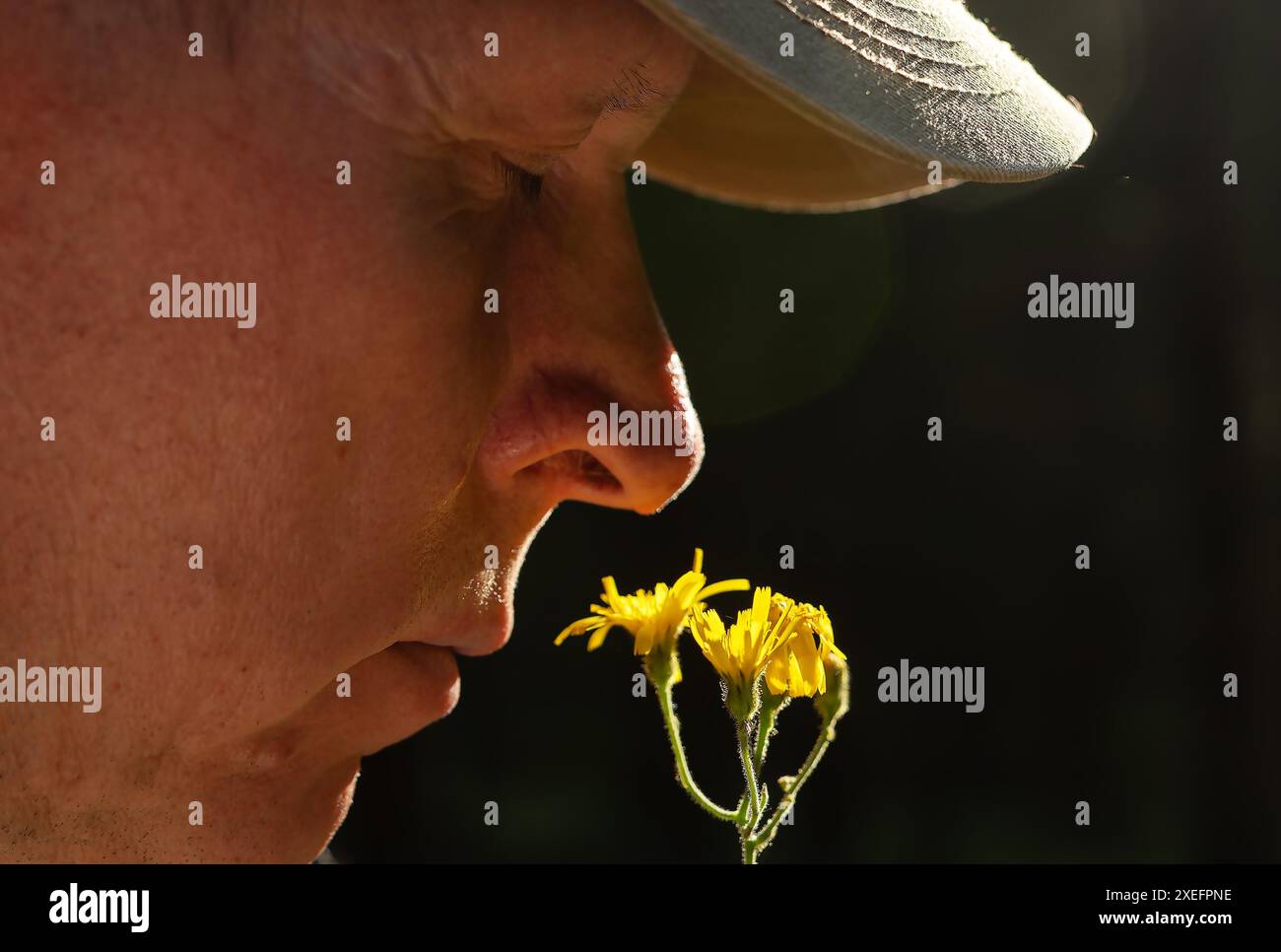 Male smelling flowers in nature, enjoying the psychology of the moment ...
