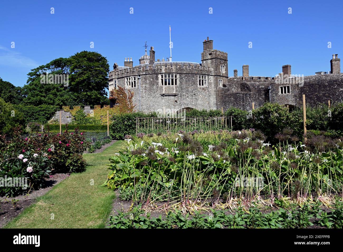 Walmer castle hi-res stock photography and images - Alamy