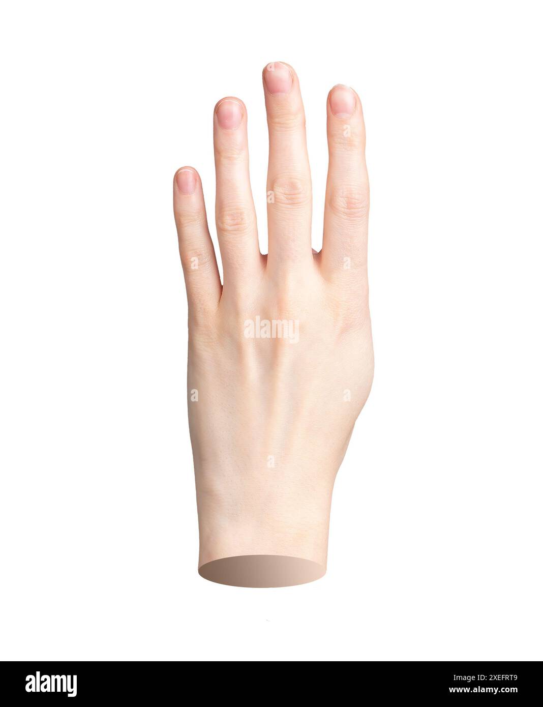 Hand showing four fingers, counting 4. Fourth number gesture, isolated symbol on white ...