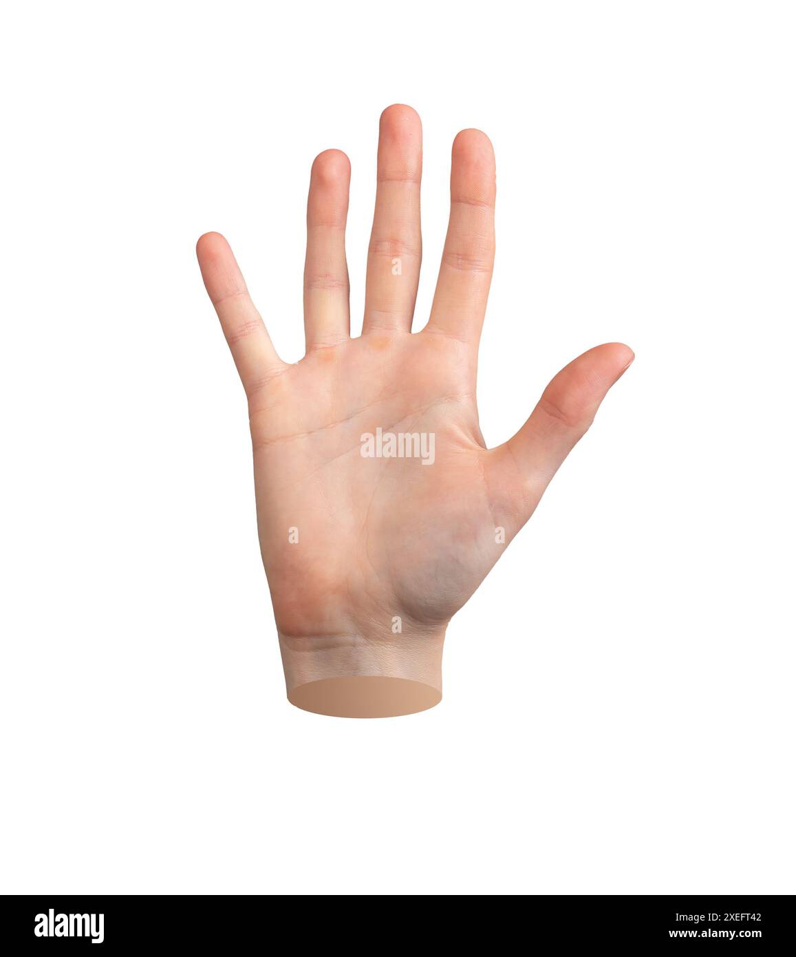 Five, hand gesture, hi and hello sign. Spreading fingers, palm isolated ...