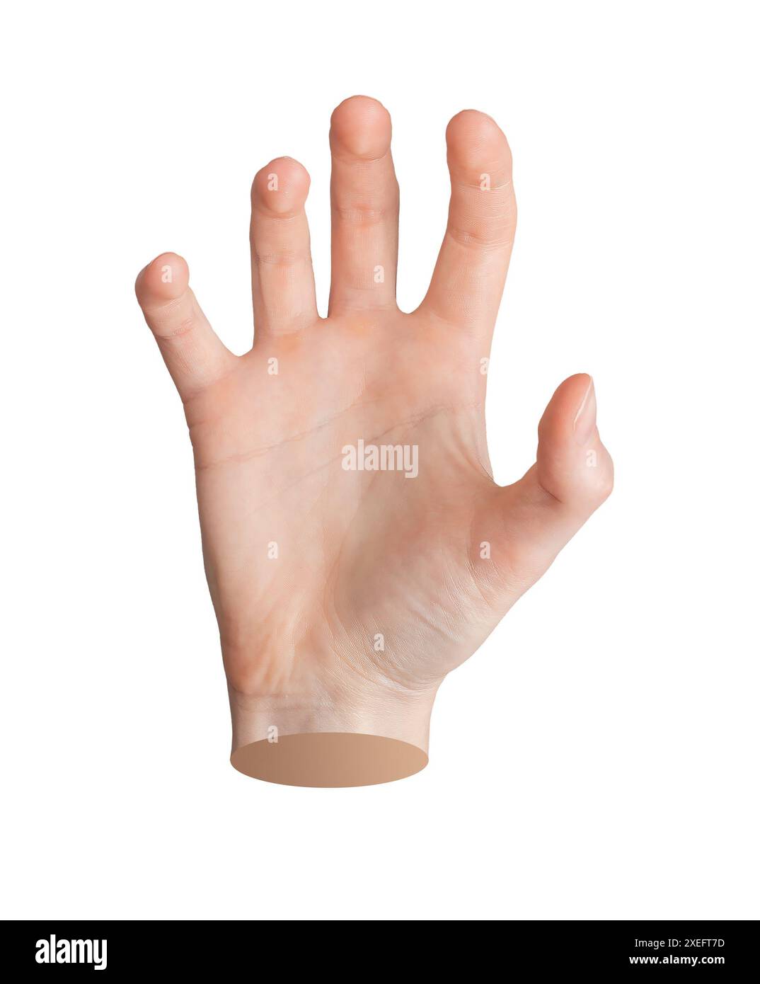 Hand gesture, catching or holding something. Isolated on white ...