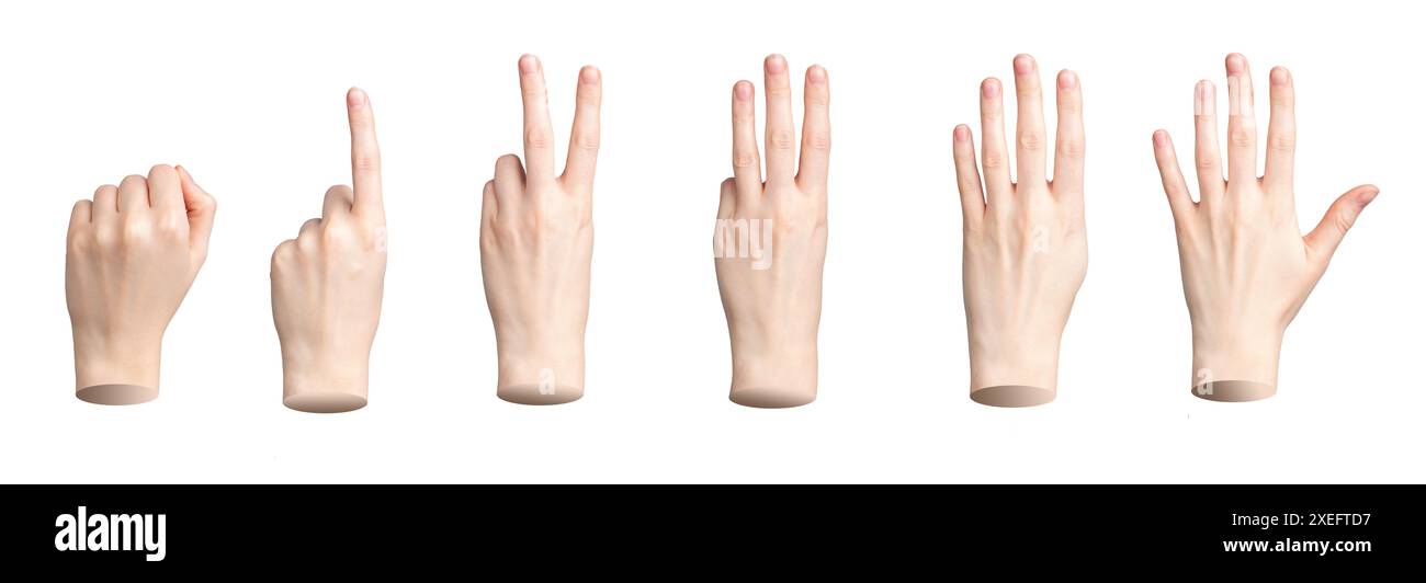 Hand showing fingers counting. One, two, three, four, five numbers isolated. Gestures for count ...