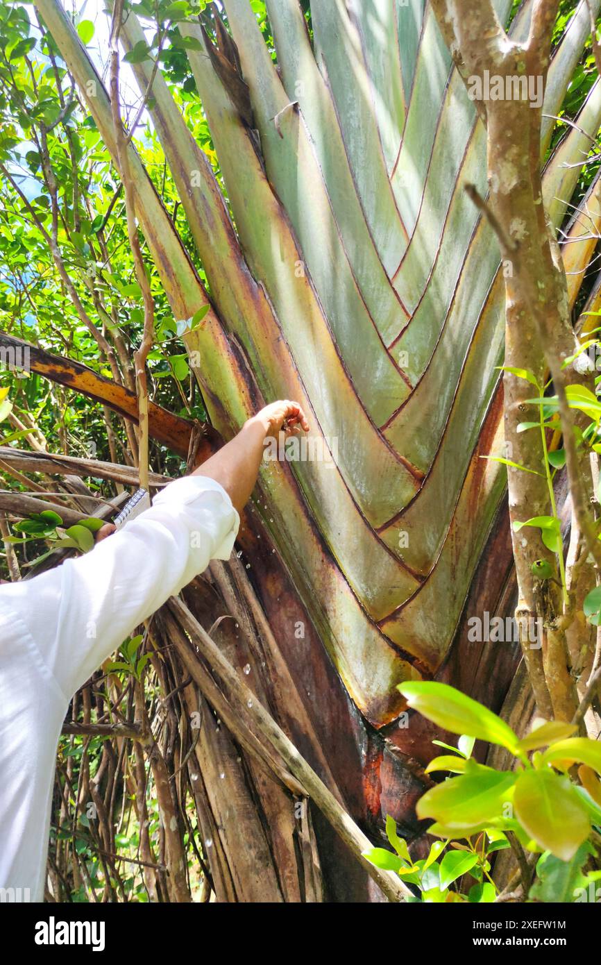 Indian travelers hi-res stock photography and images - Alamy