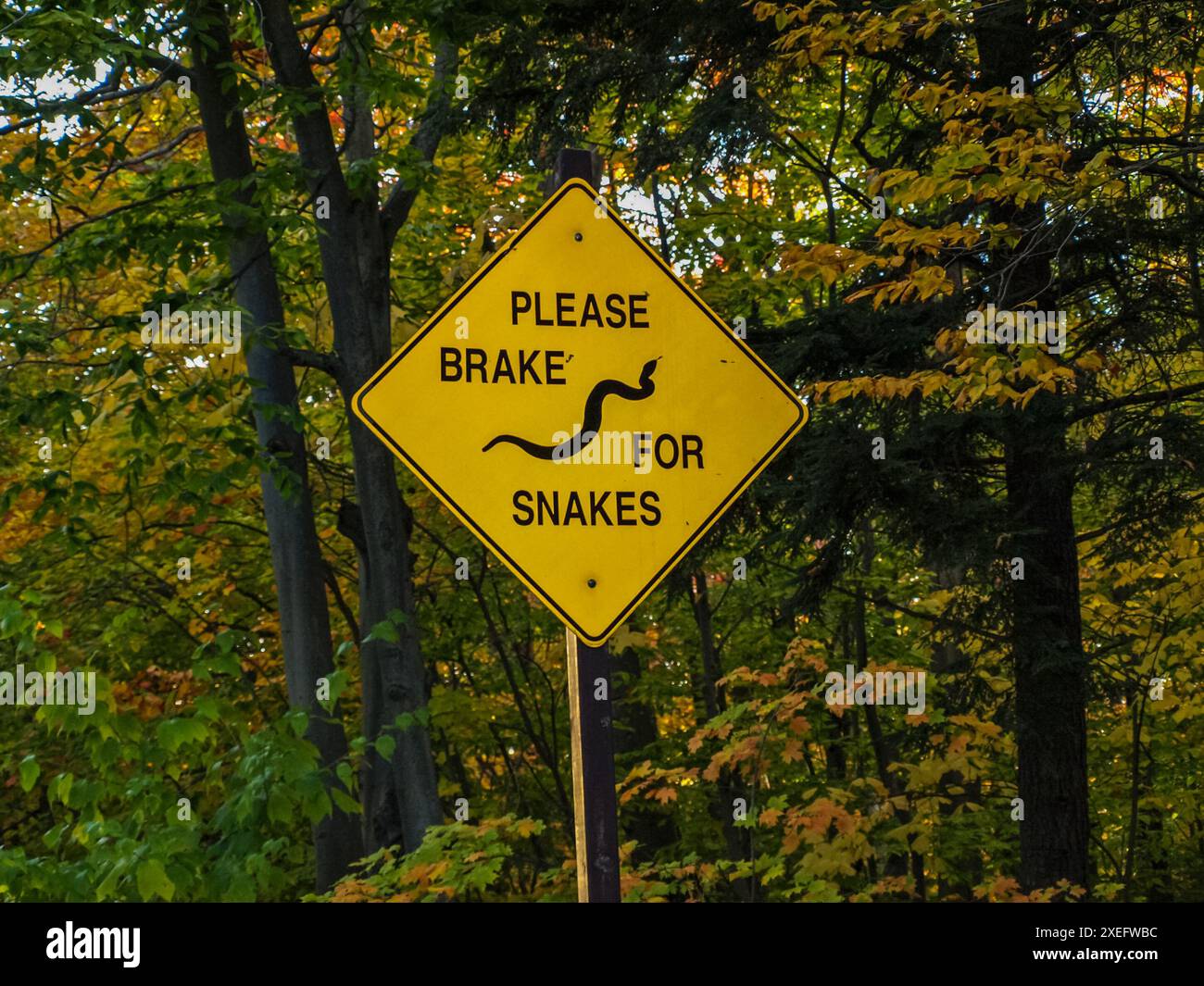Sign warning about snakes on the way Stock Photo - Alamy