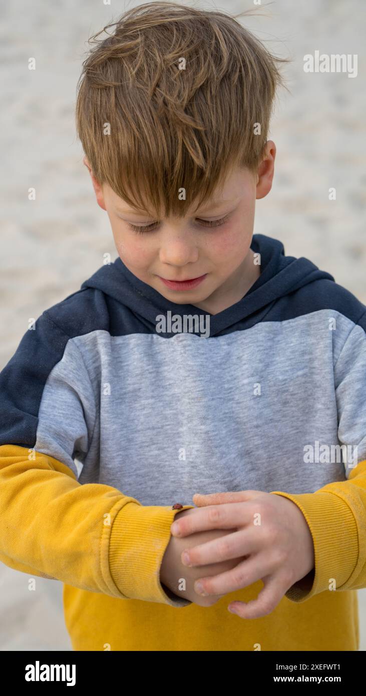 A cute boy holds a small bug on his hand and examines it carefully ...