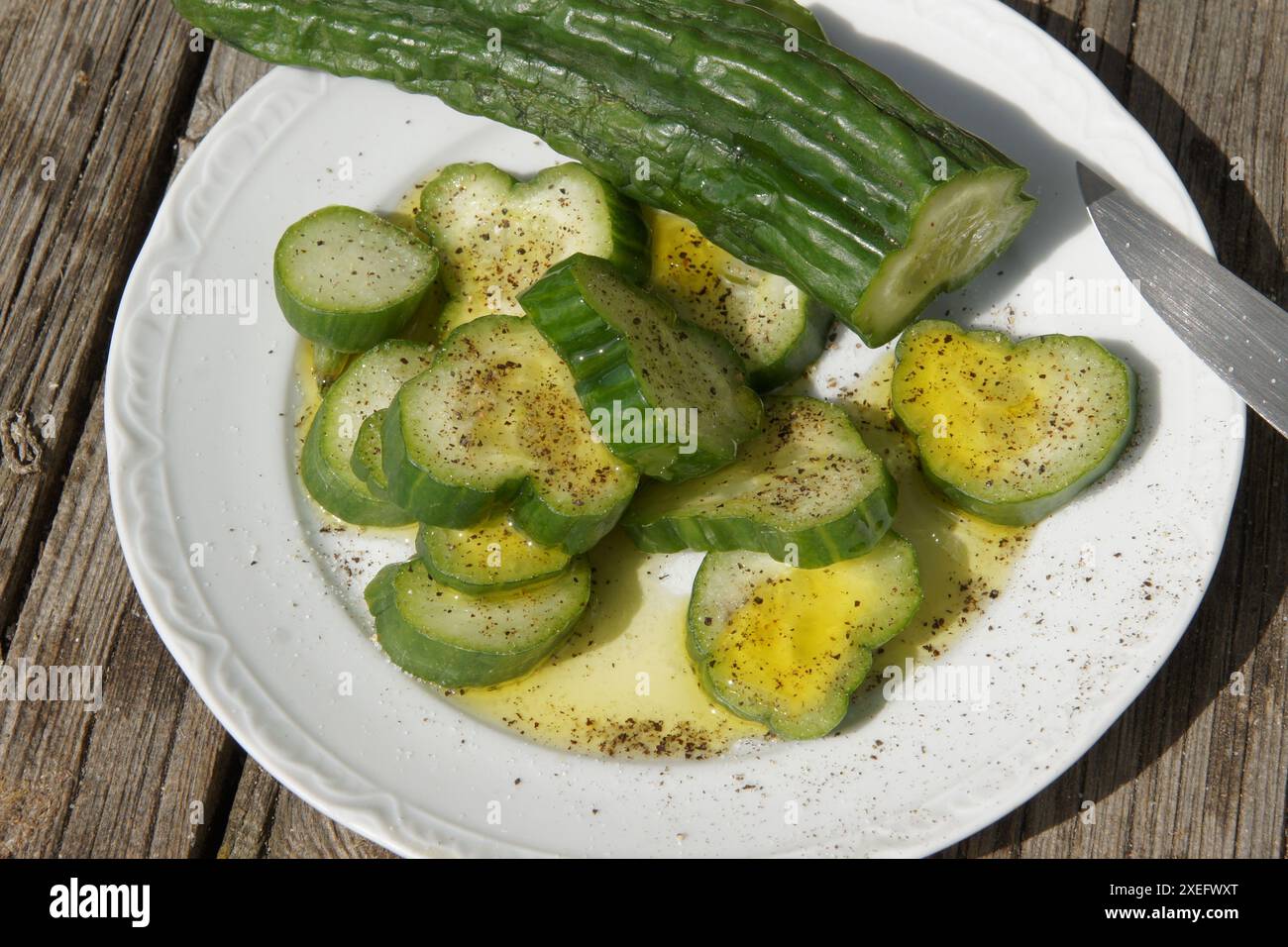 Cucumis sativus plant hi-res stock photography and images - Alamy