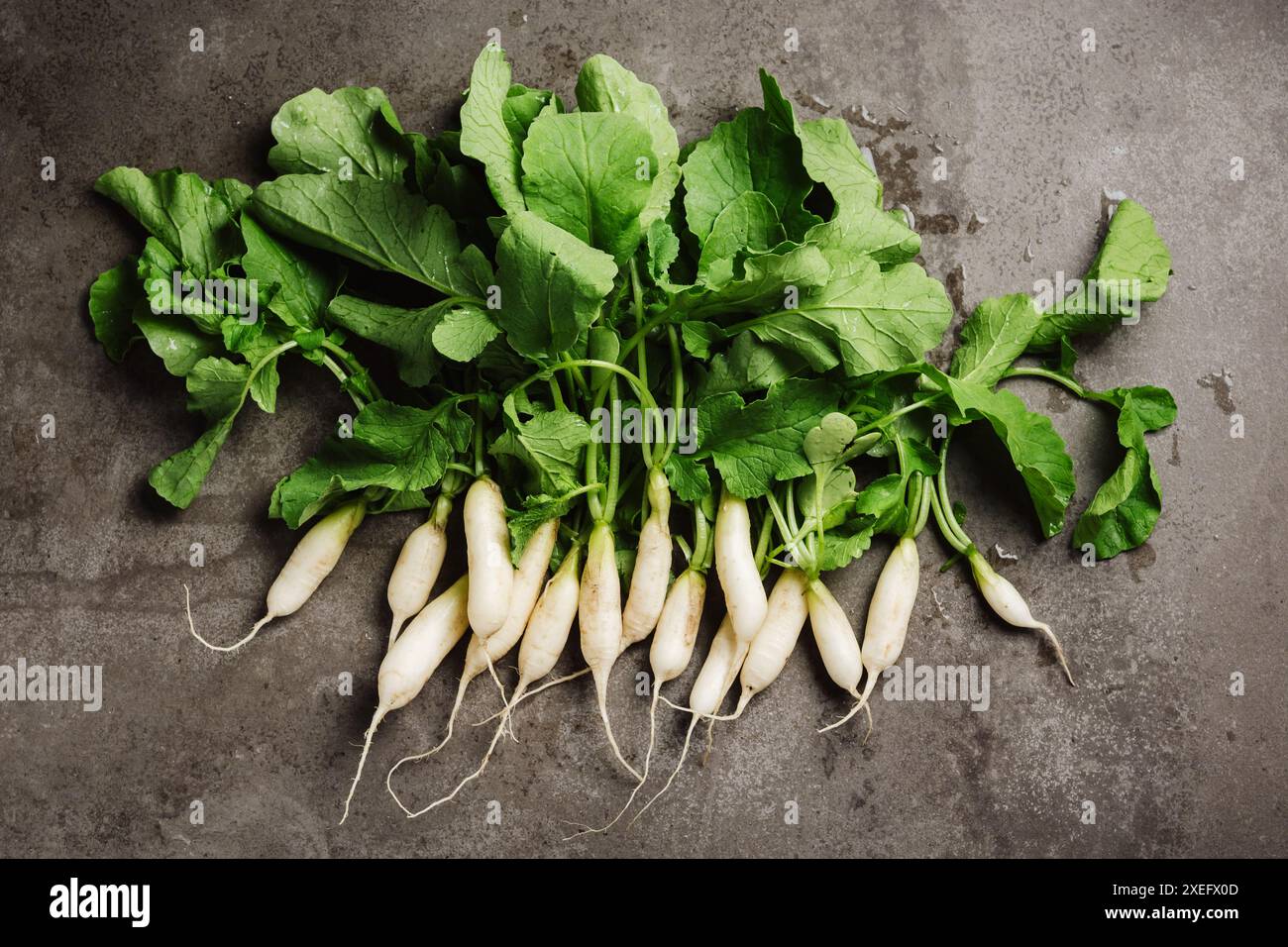 White long radish on dark background, top view Stock Photo - Alamy