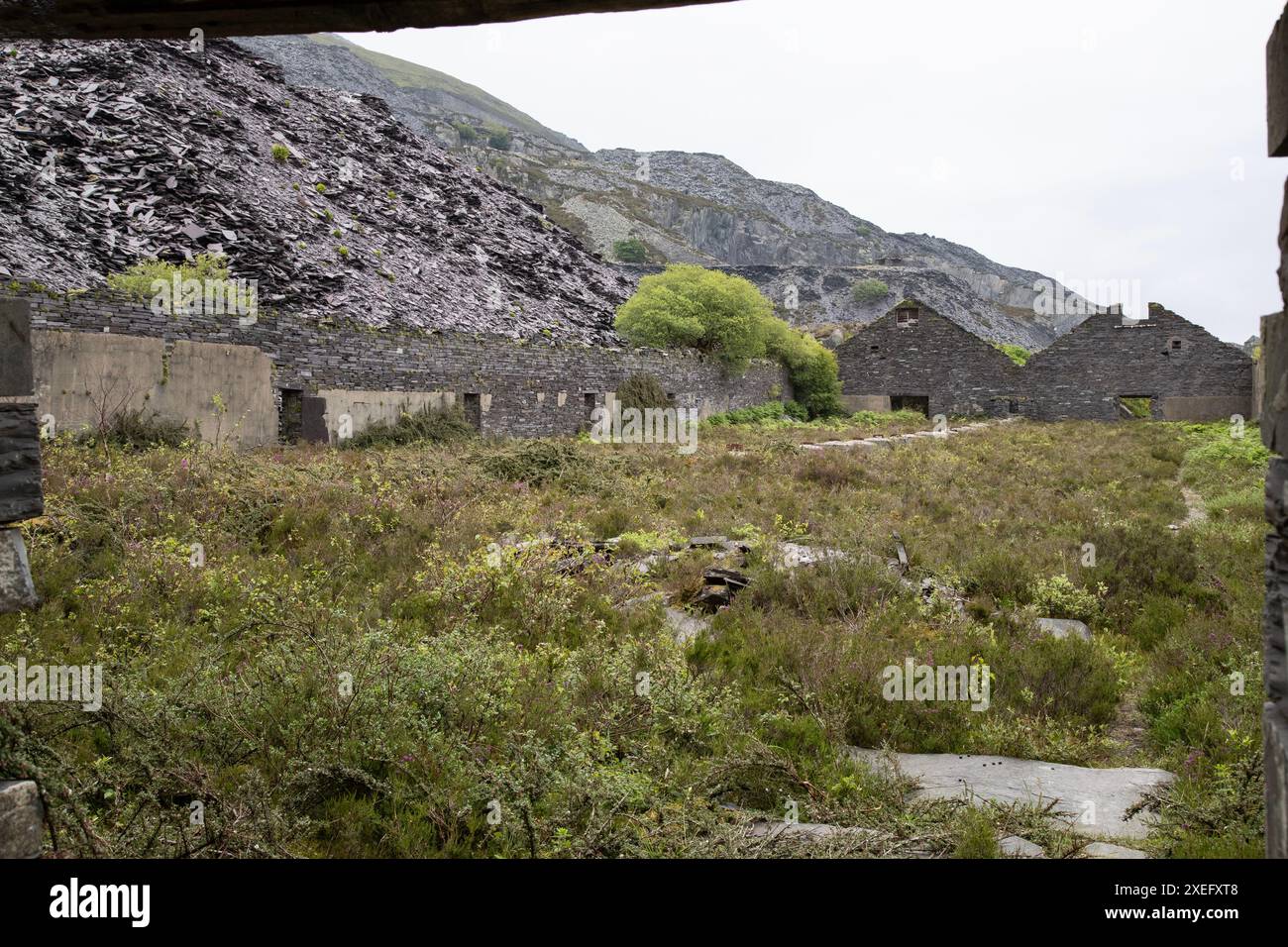 The interior ruins of Ardal slate mills building no 3 opened in 1927 ...