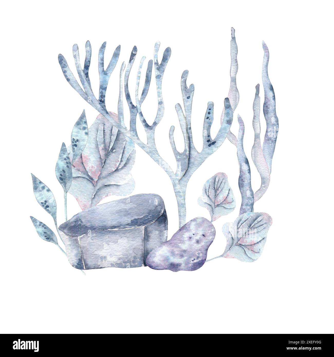 Seabed scene monochrome with coral, sea plants and stones in watercolor ...